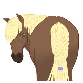 how to draw a horse braid
